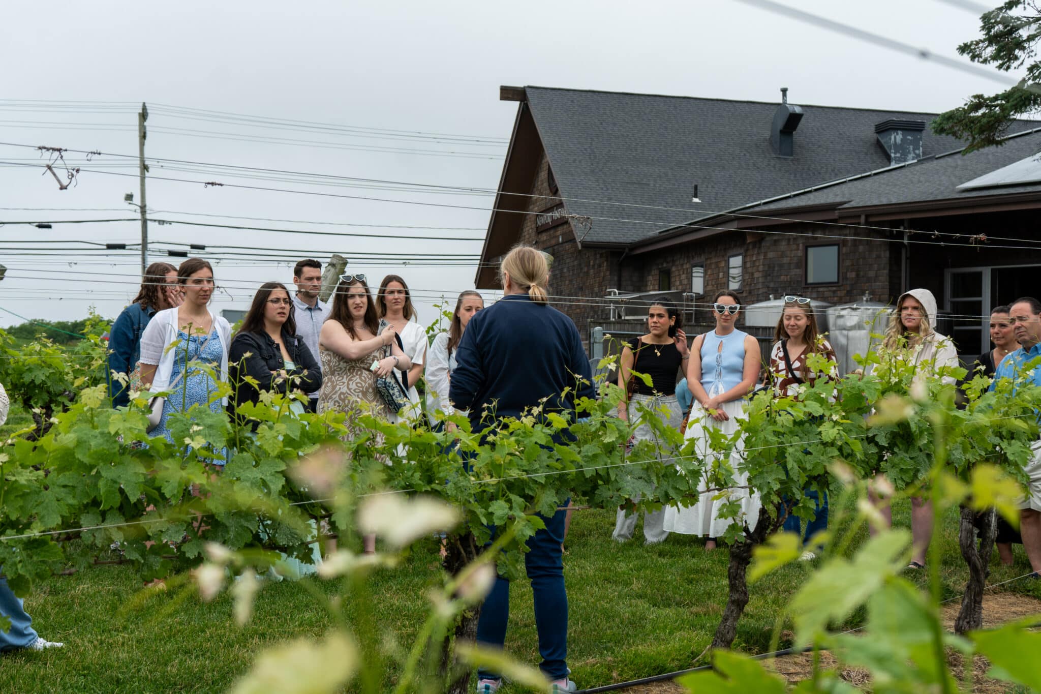 Winery – Newport Vineyards
