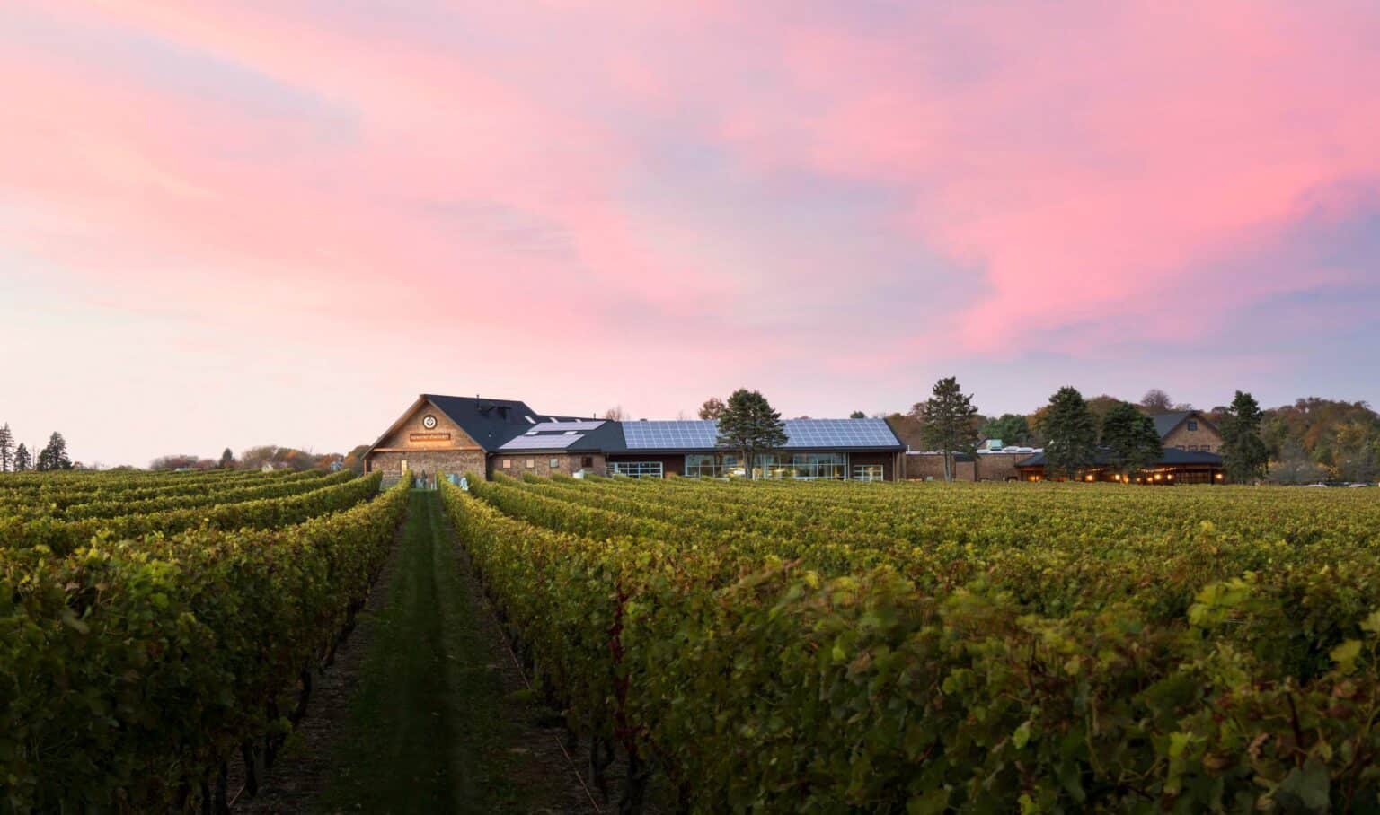 Newport RI Weekend: Coastal Fun at Newport Vineyards